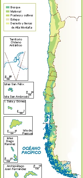 Chile mapa flora fauna | Download vector maps for Adobe Illustrator